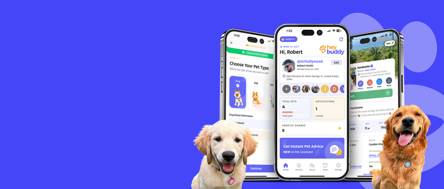 HeyBuddy - QR Code Pet Tags – HeyBuddy Club